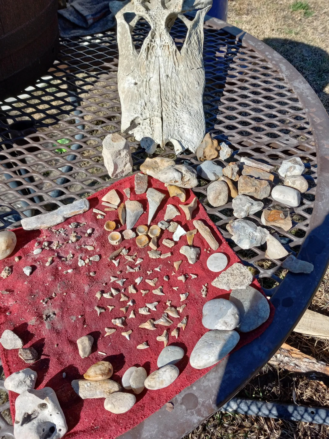 Not bad - SC Construction Site | Scrolller