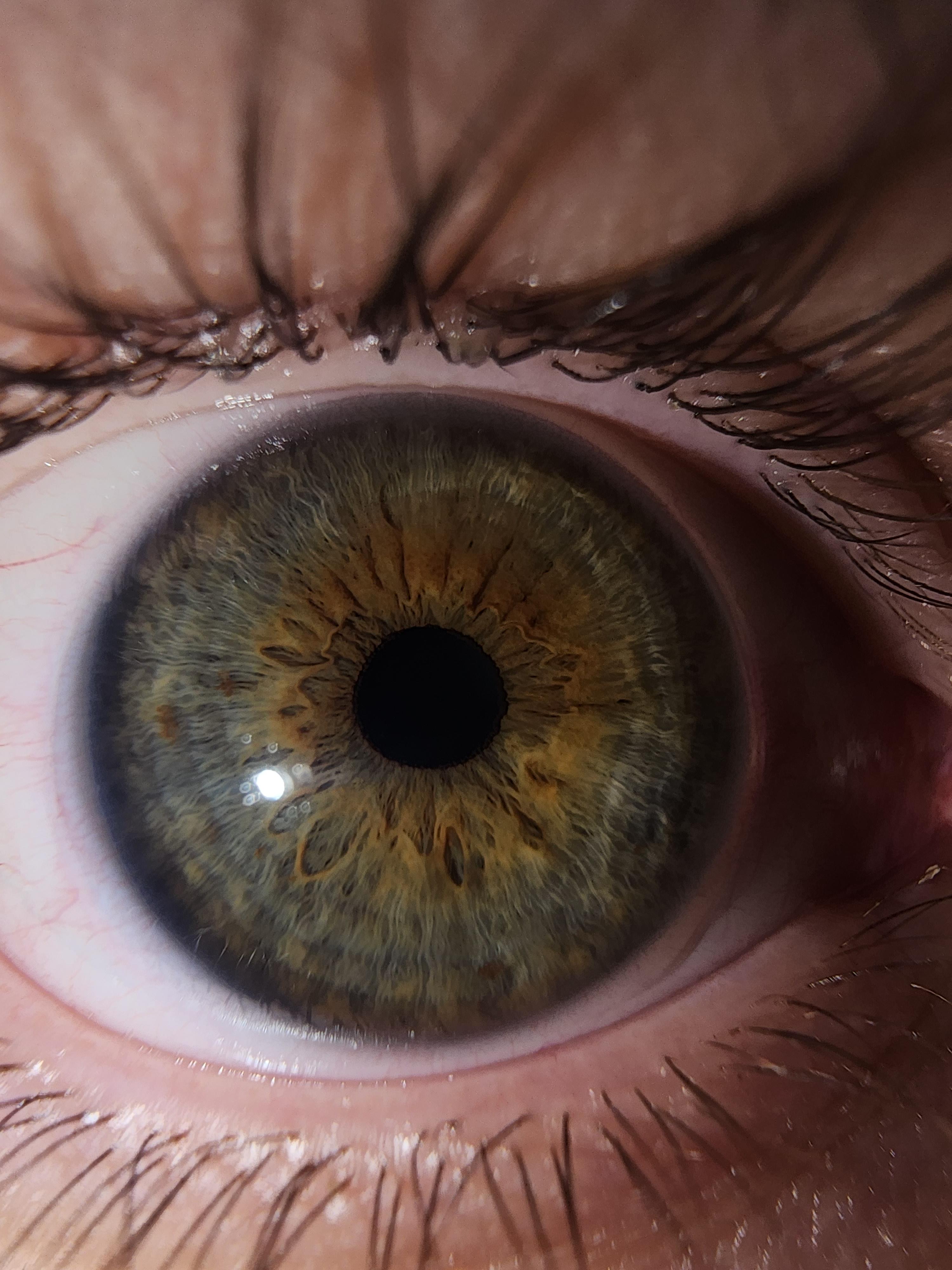 Everyone says my eyes are brown but I think mabey hazel or something like that mabey? | Scrolller