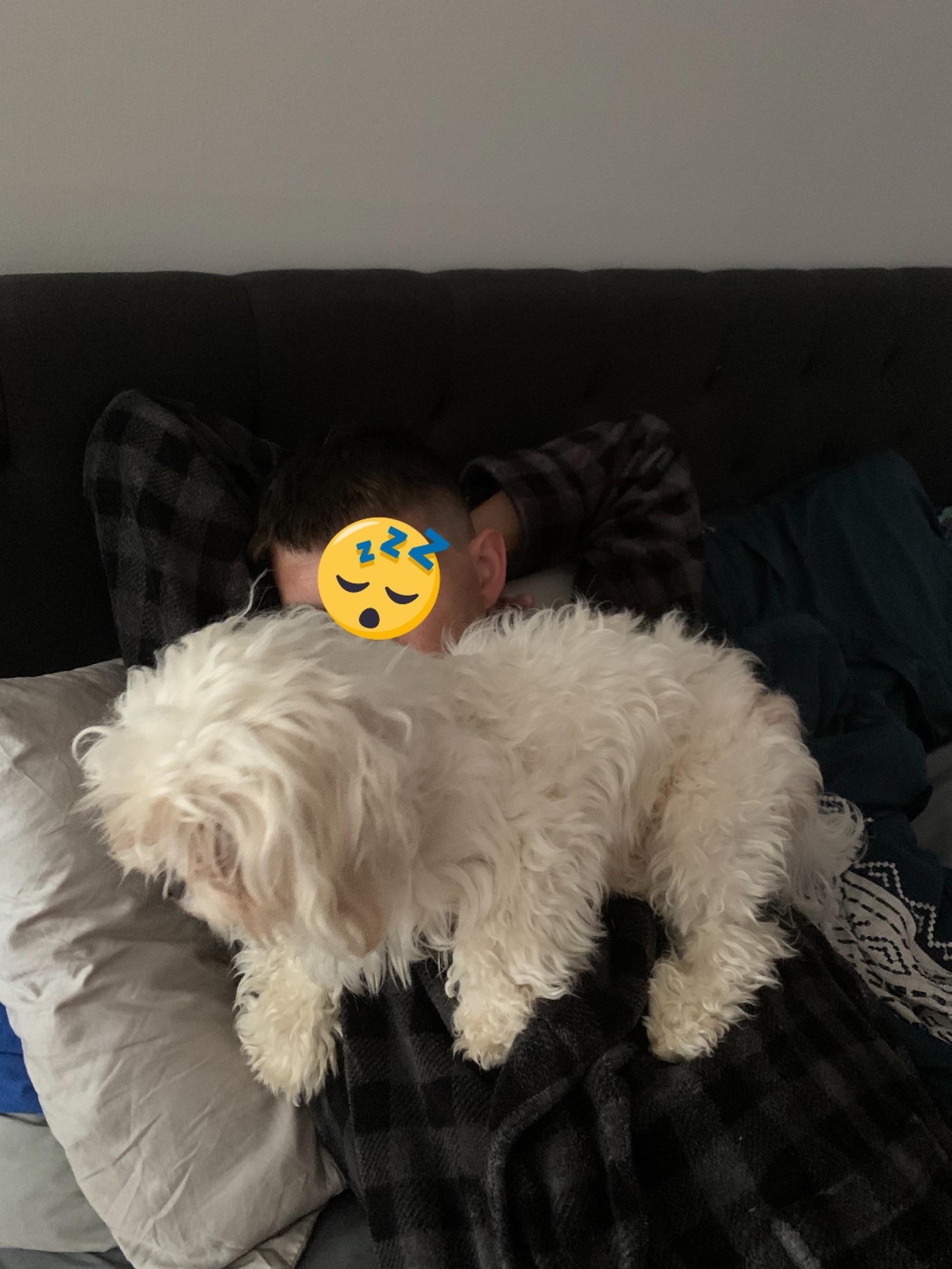 This is how she lays on people when they’re sleeping, as close to their face as possible ...