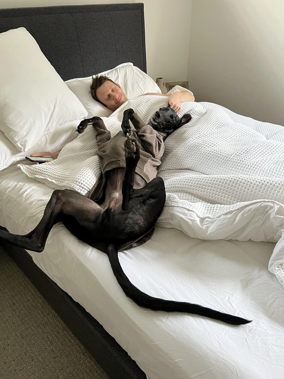 Rex. & snugs | Scrolller