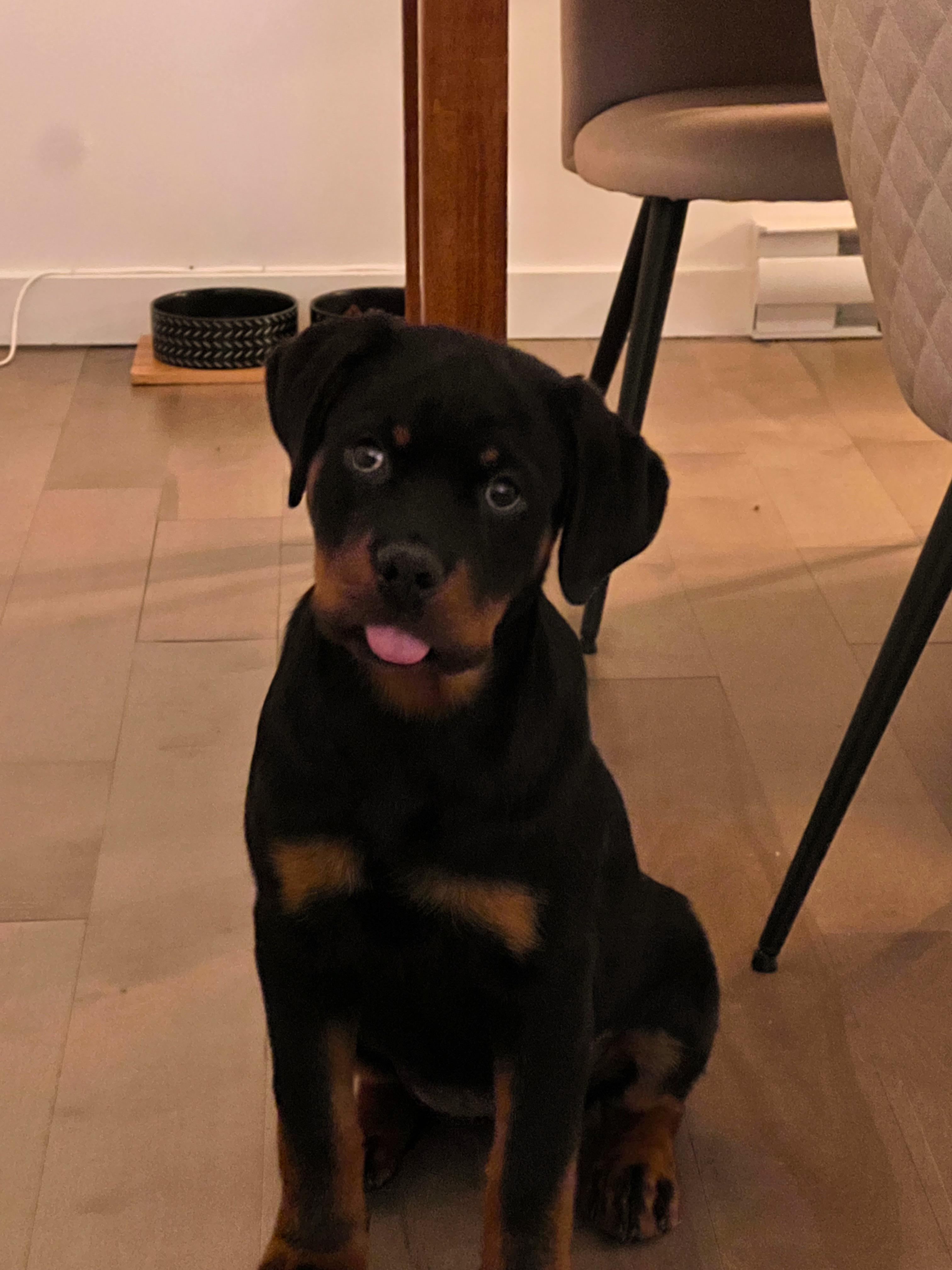 Freja really said 👁️👅👁️ | Scrolller