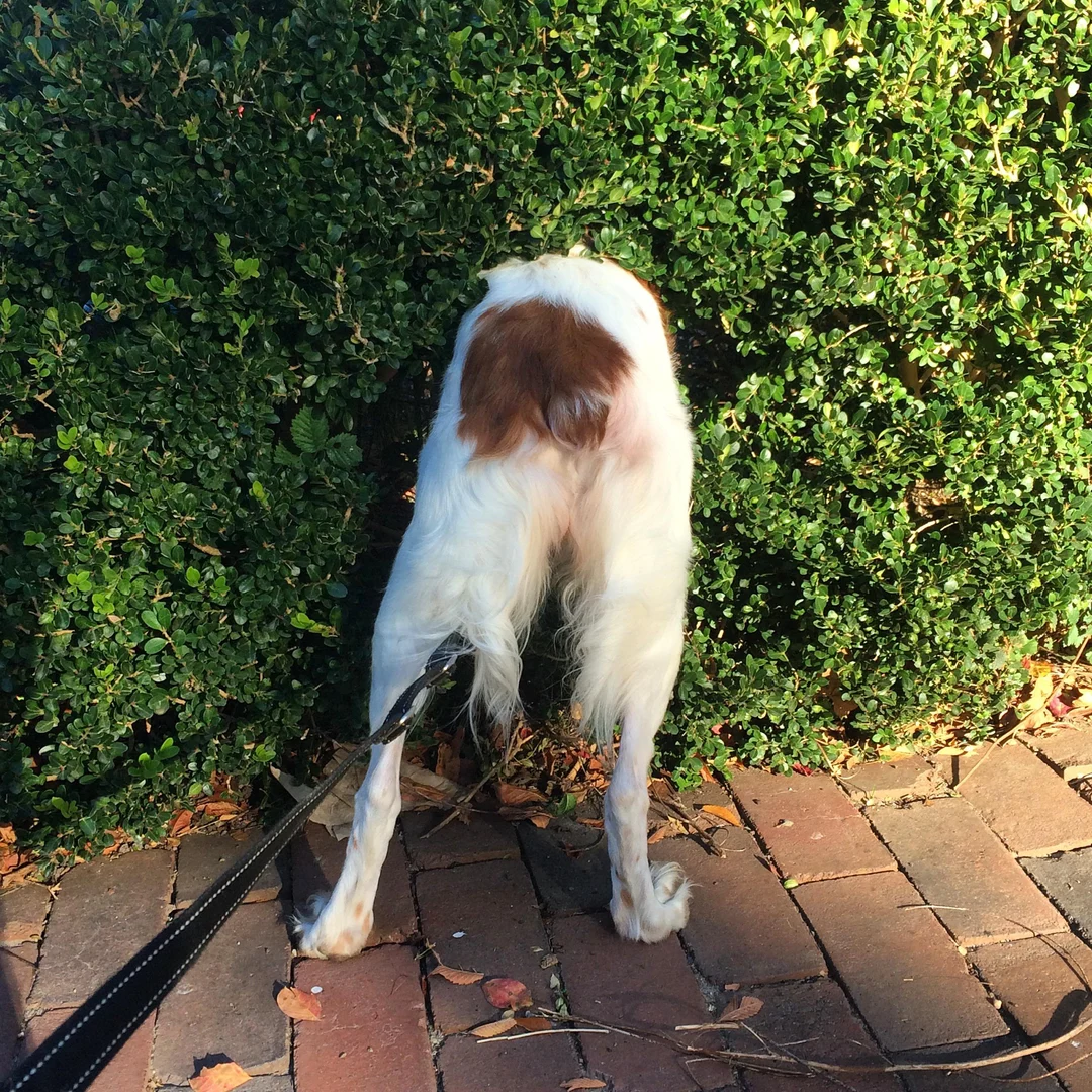 Sally has a very immersive approach to bird watching. | Scrolller