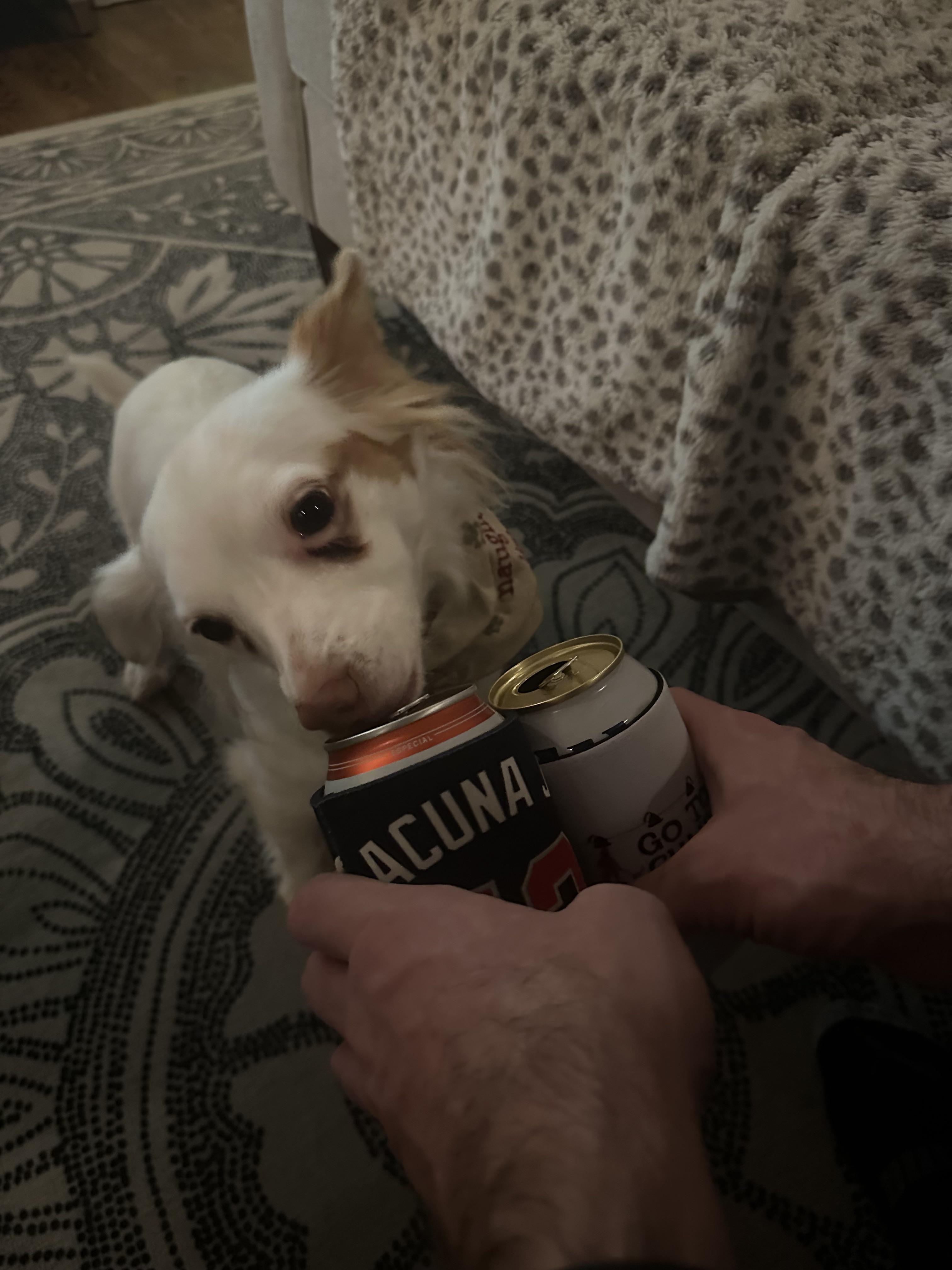 Noodles in double fisting | Scrolller