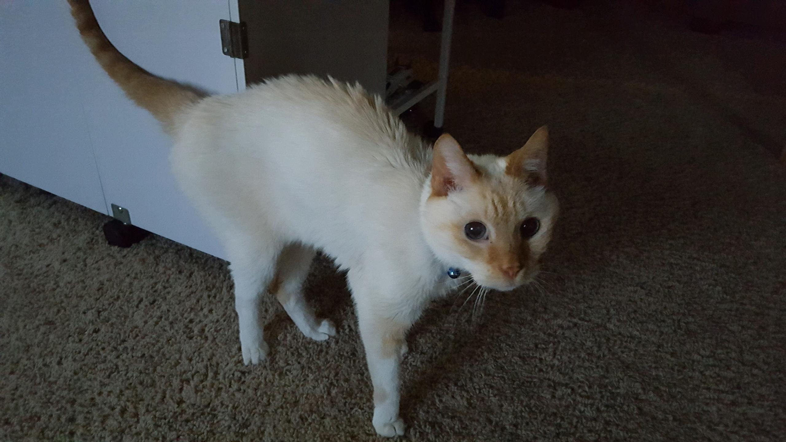 I made a small noise | Scrolller