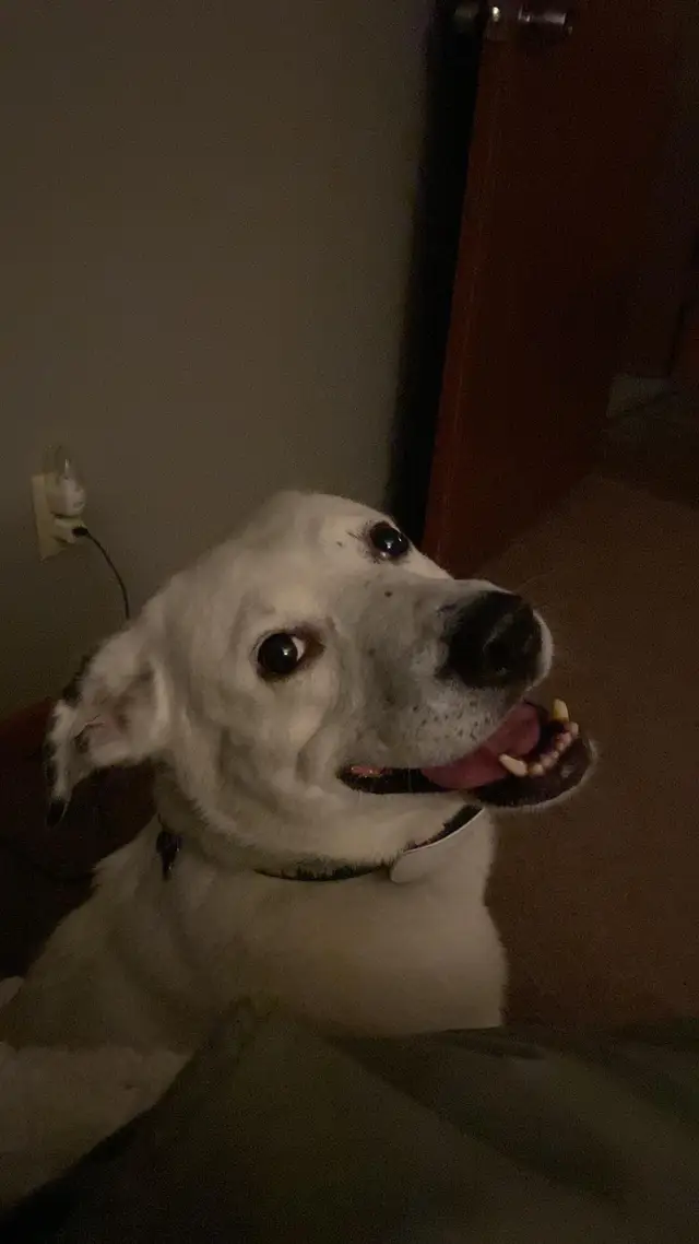 Big ole side eye smile | Scrolller