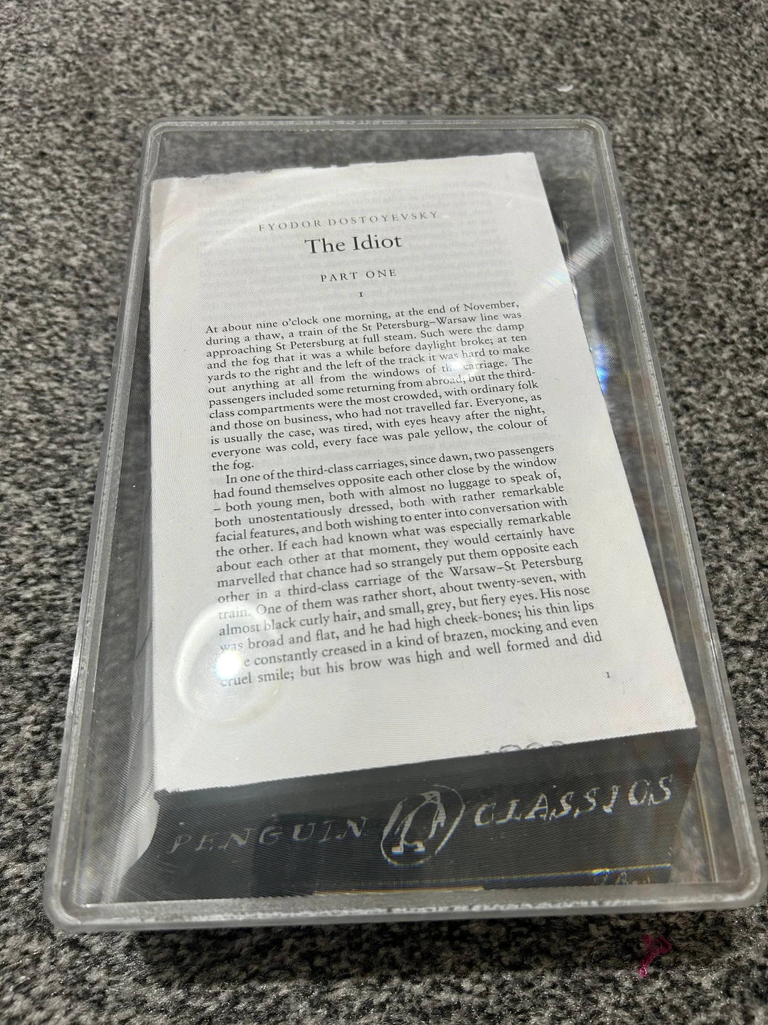 The Idiot, one of my favourite books ever, feeling lucky! | Scrolller