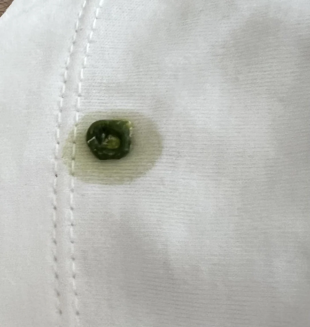 my tiel’s poo, is this normal? | Scrolller