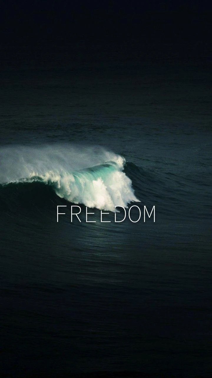 Freedom | Scrolller