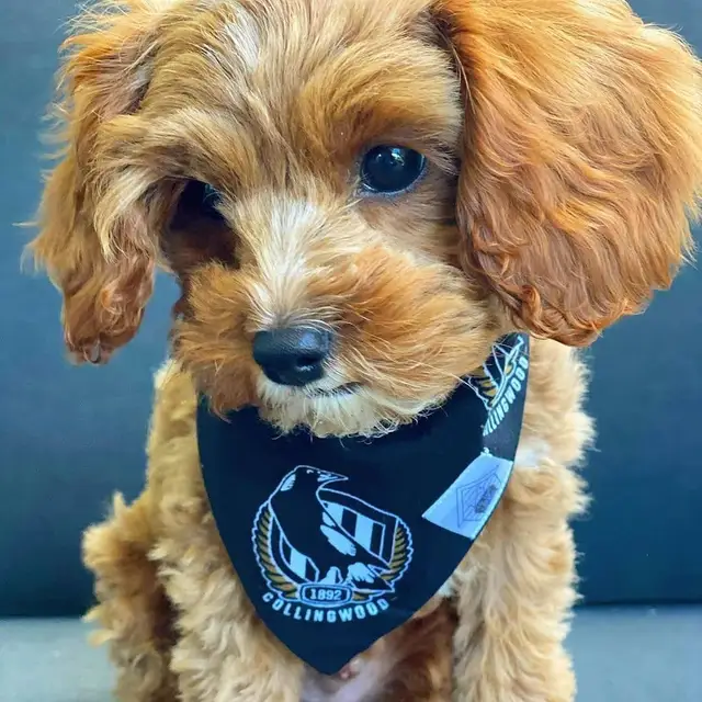 Rate from 10 to infinite. | Scrolller