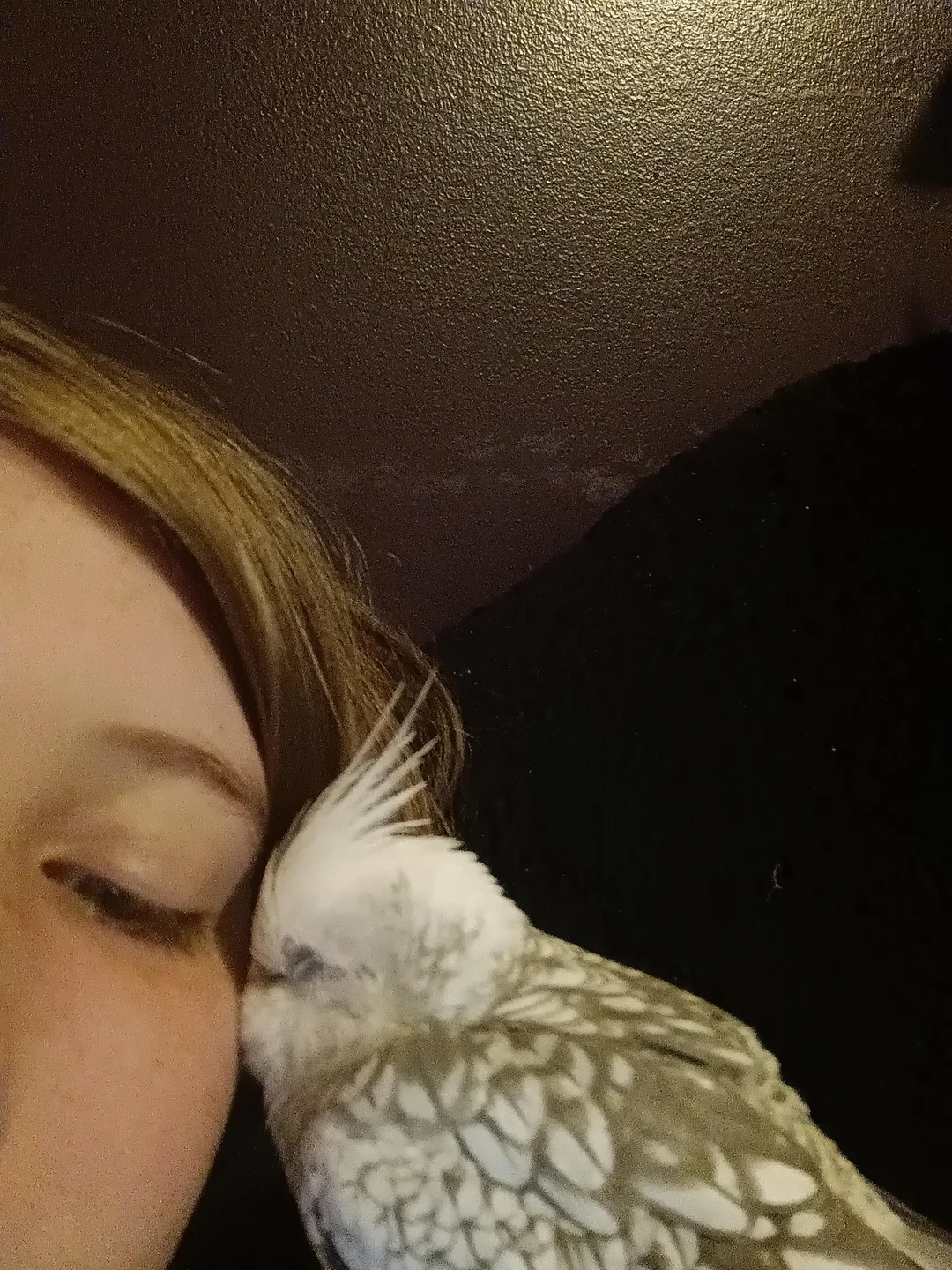 little snuggles :) | Scrolller