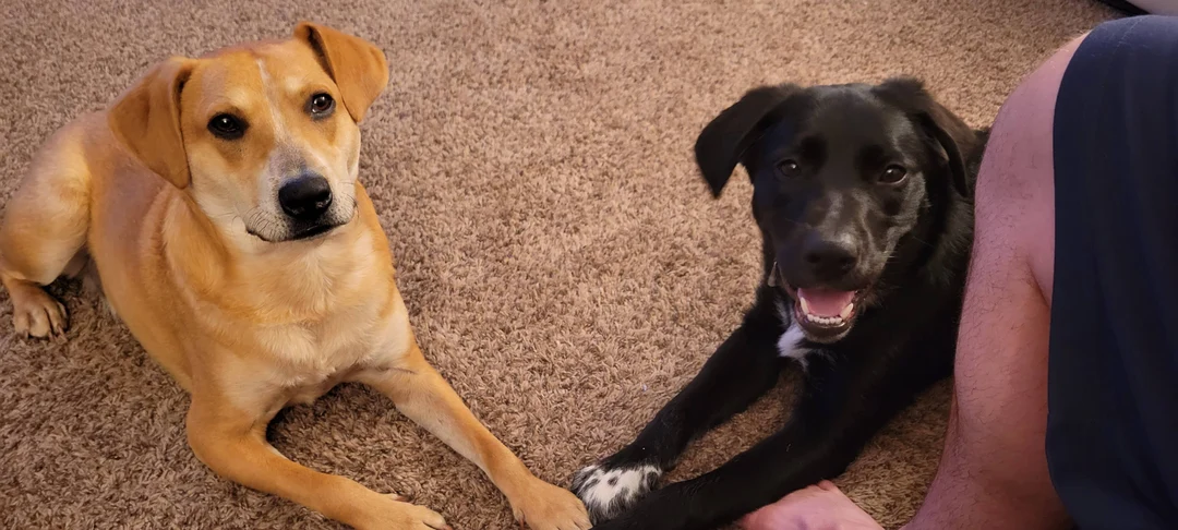 Hans and his new buddy, Jack! | Scrolller