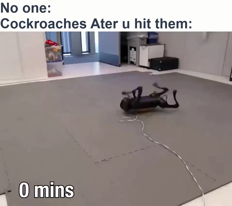 Cockroaches Across the roaches verse | Scrolller