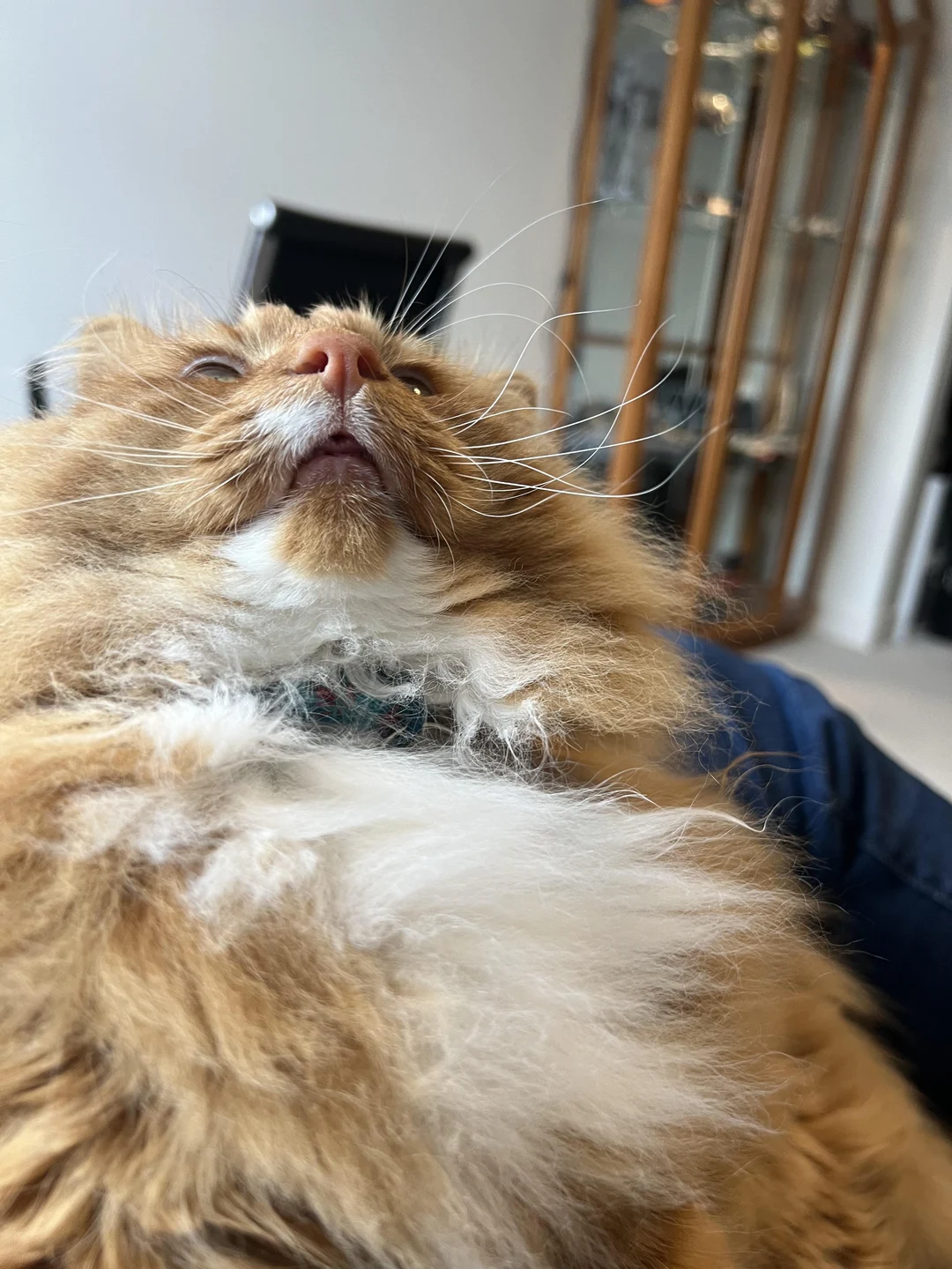 He’s my big cheese! | Scrolller