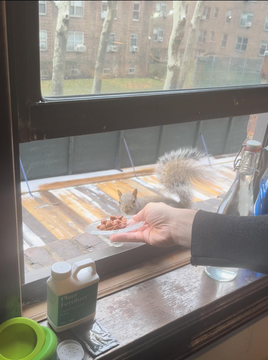 Getting closer. | Scrolller