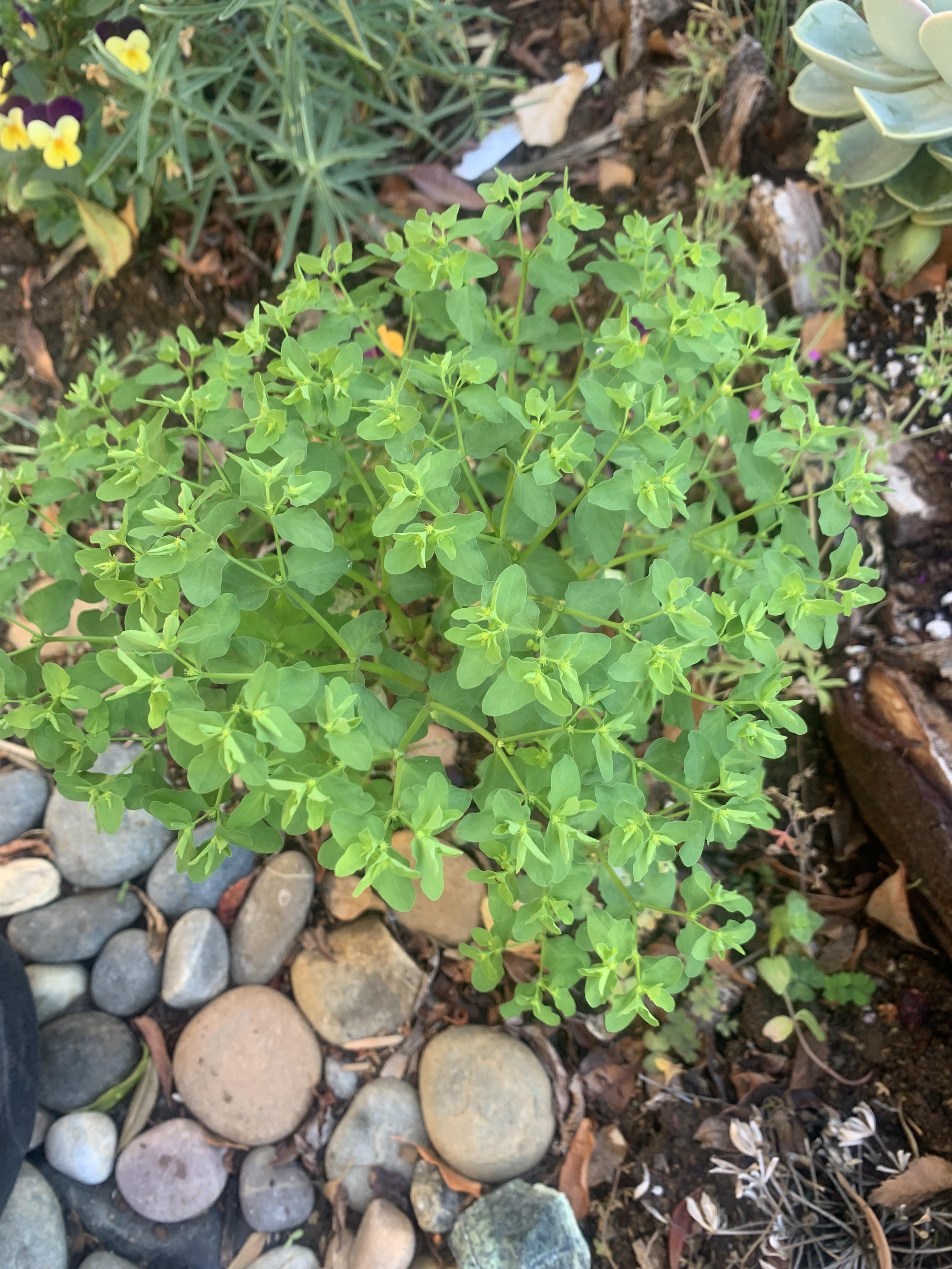 Northern California | Scrolller