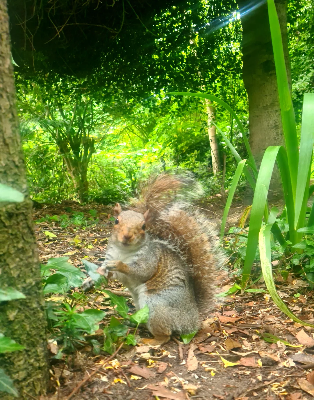 Sweet friend with slight head tilt | Scrolller