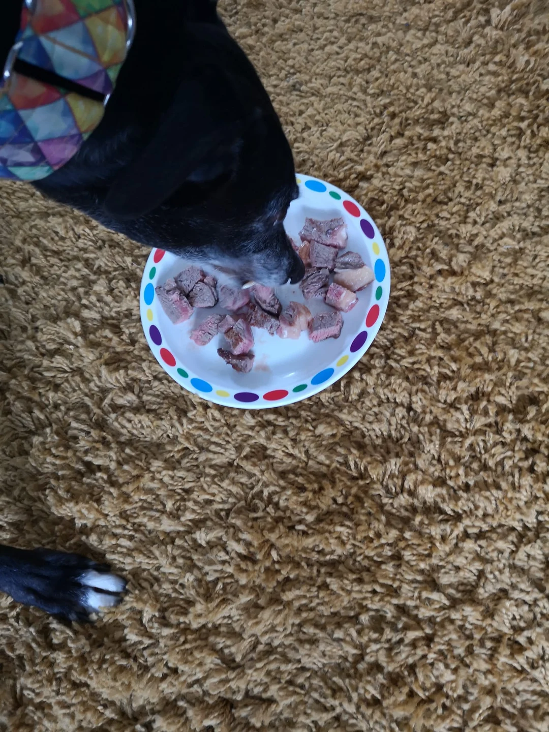 woody won the pub sweepstake, to the Victor the spoils. | Scrolller