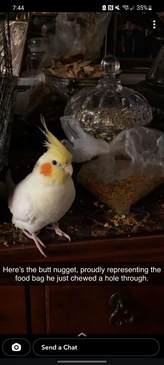 Leo is always on some side quest.. | Scrolller