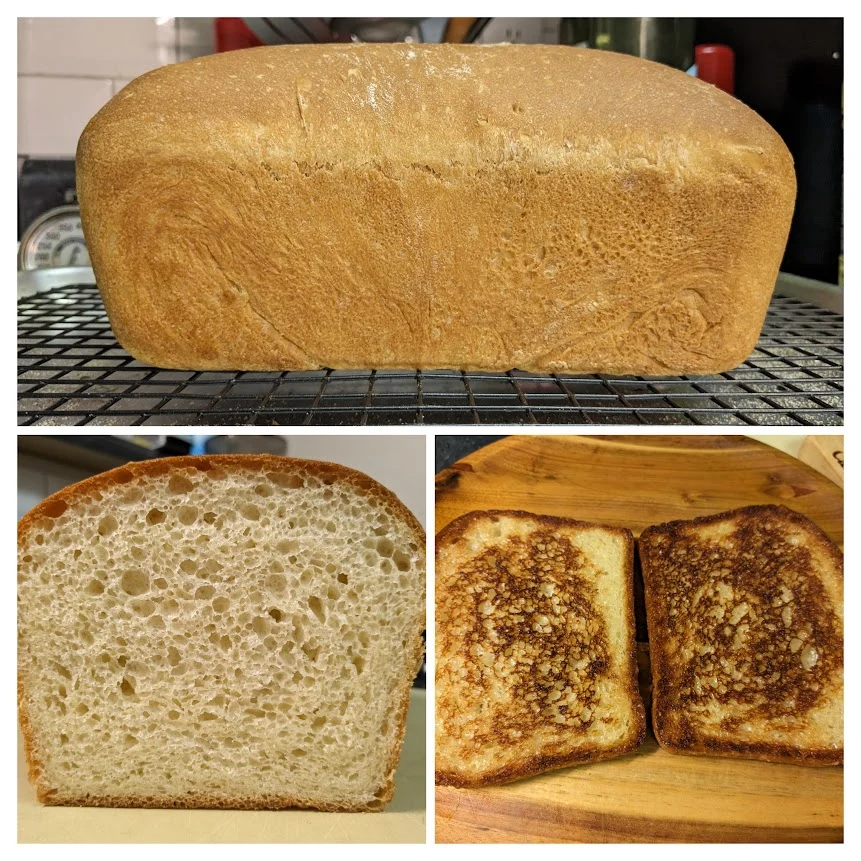 Am on lean breads 90% of the time but that milk bread toast just hits different... Reinhart's ...