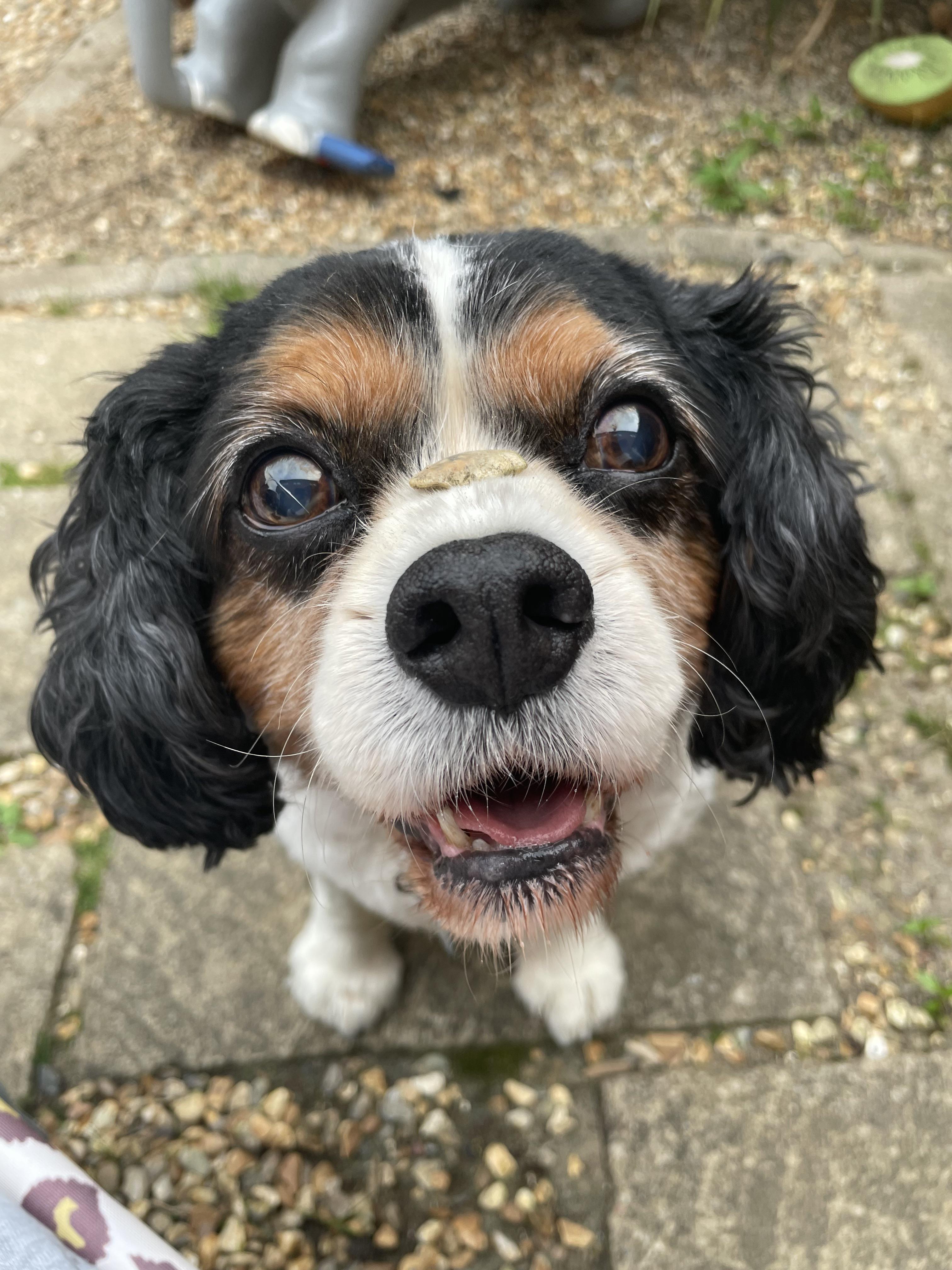 Balance (OC) | Scrolller