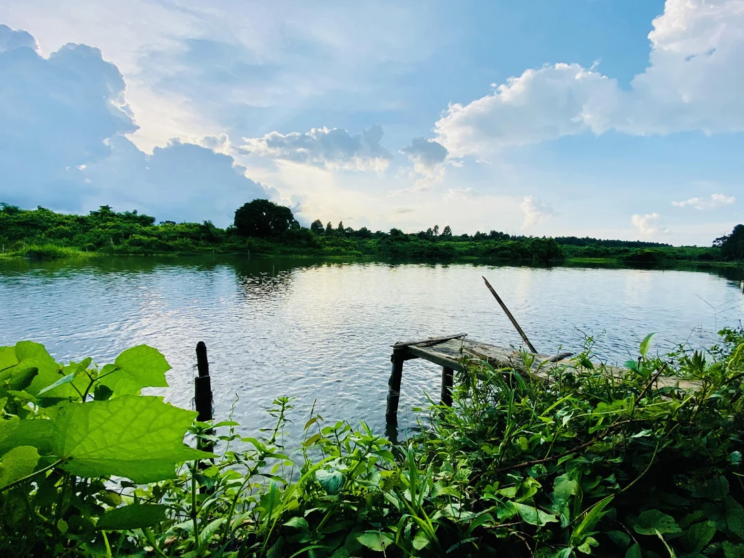 Greenery ☘️ | Scrolller