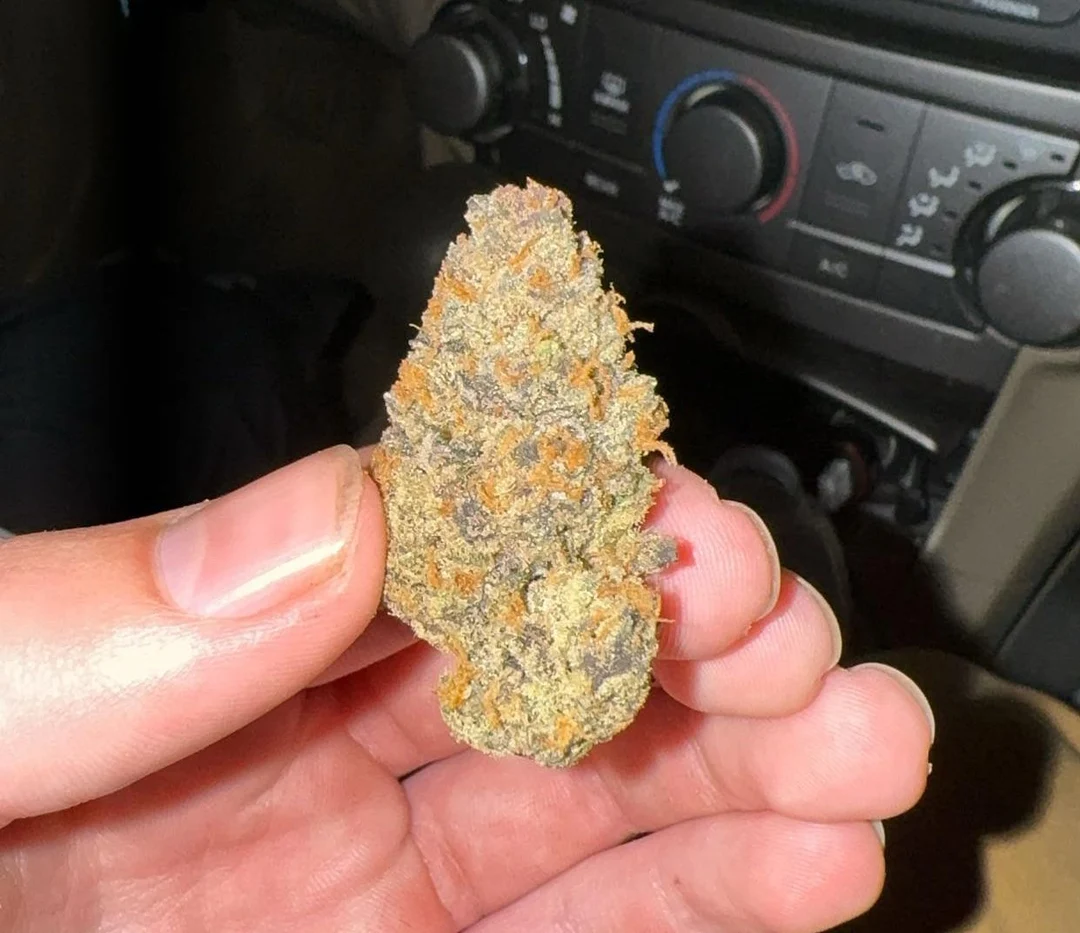 Super sport strain, absolutely beautiful nug | Scrolller