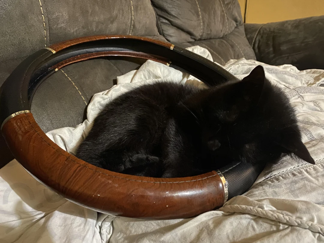 Circular trap | Scrolller