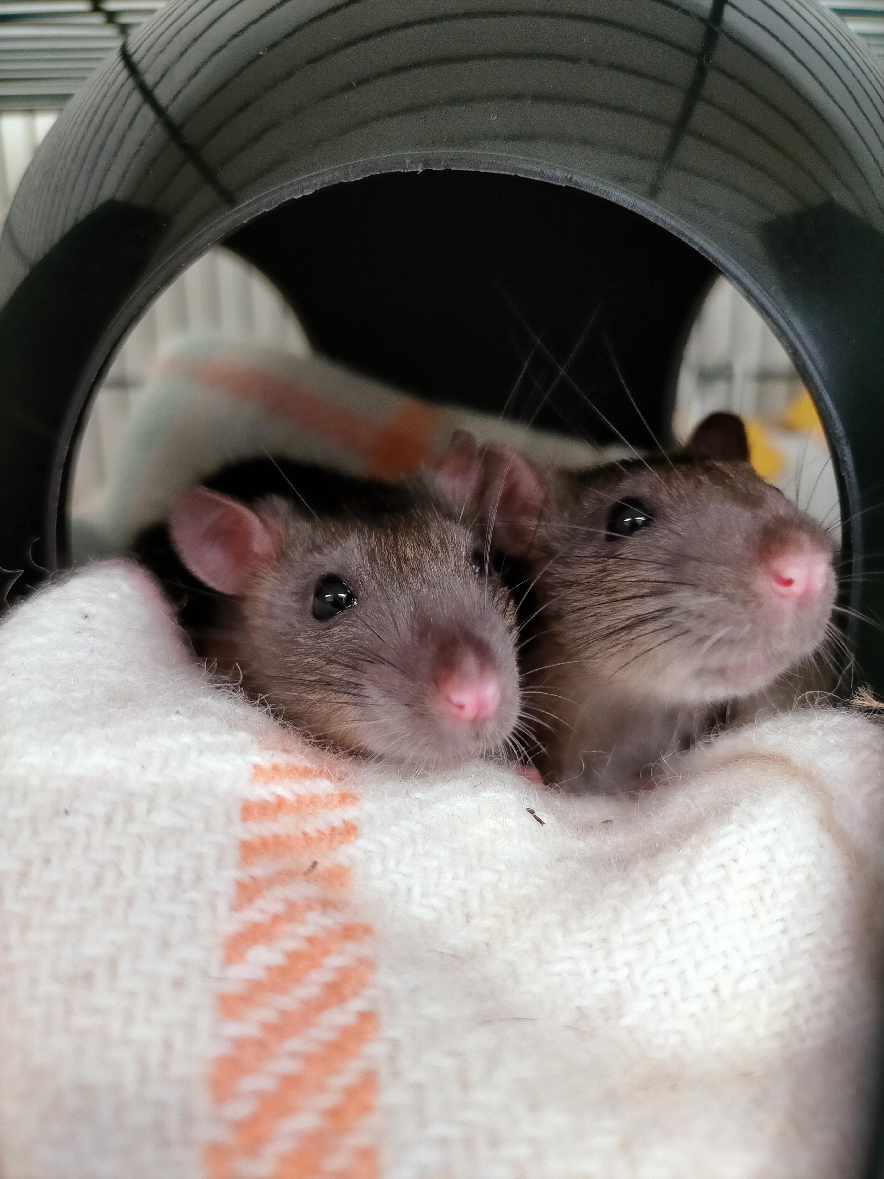 Tips on new babies?? | Scrolller