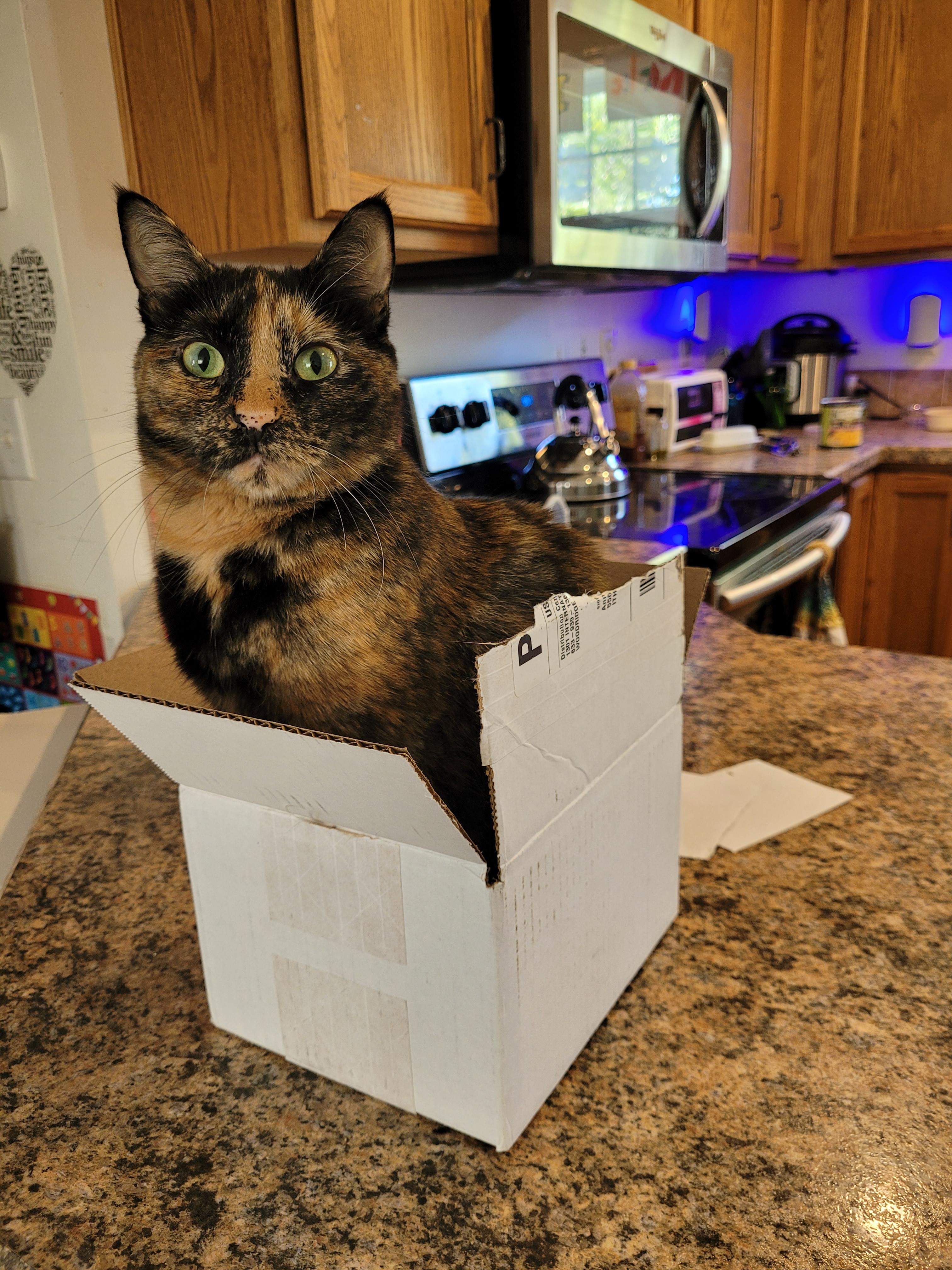 Special Delivery! | Scrolller