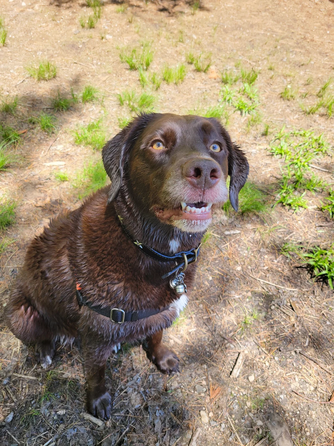 Say cheese! | Scrolller