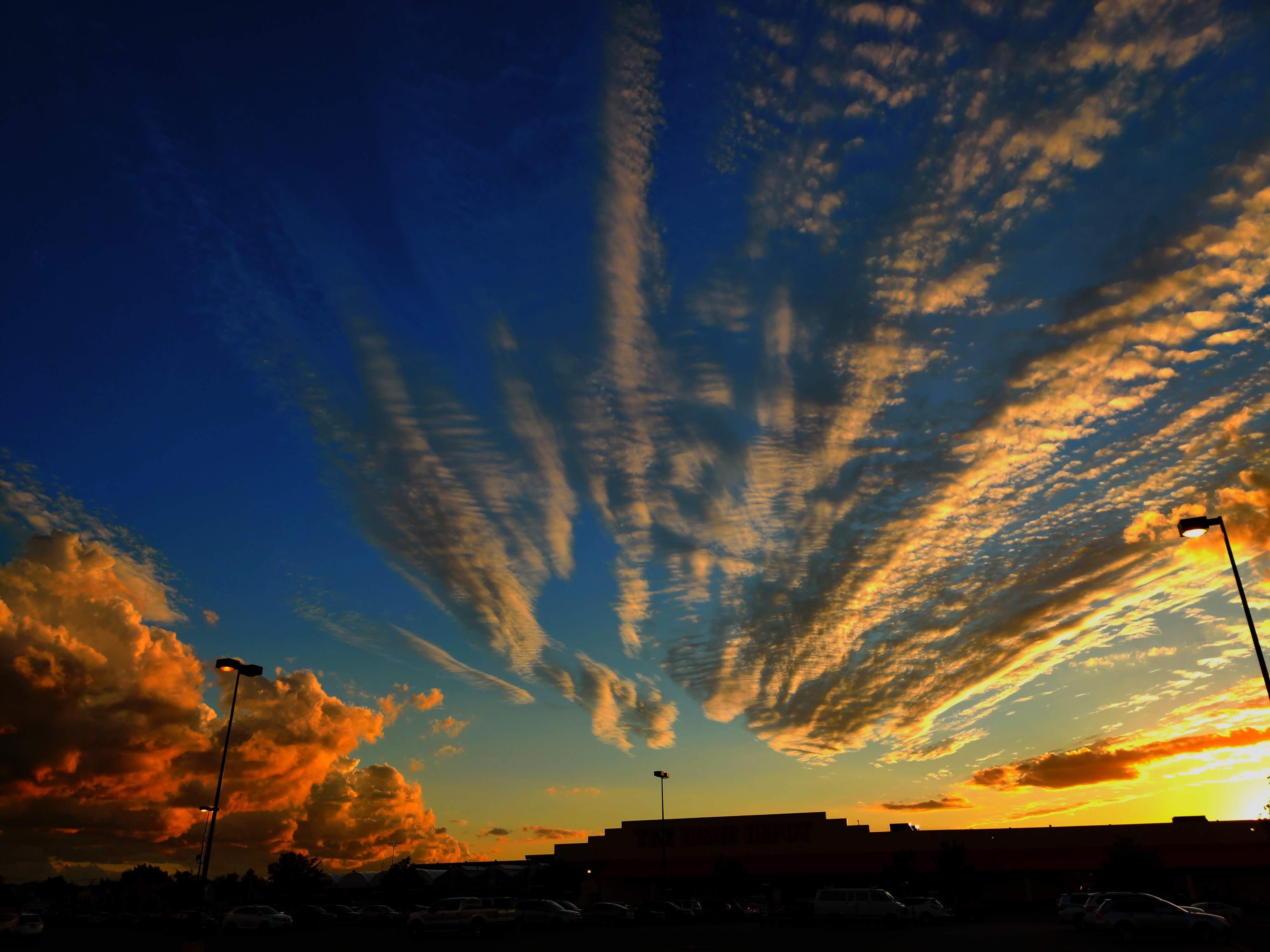 Buffalo NY | Scrolller