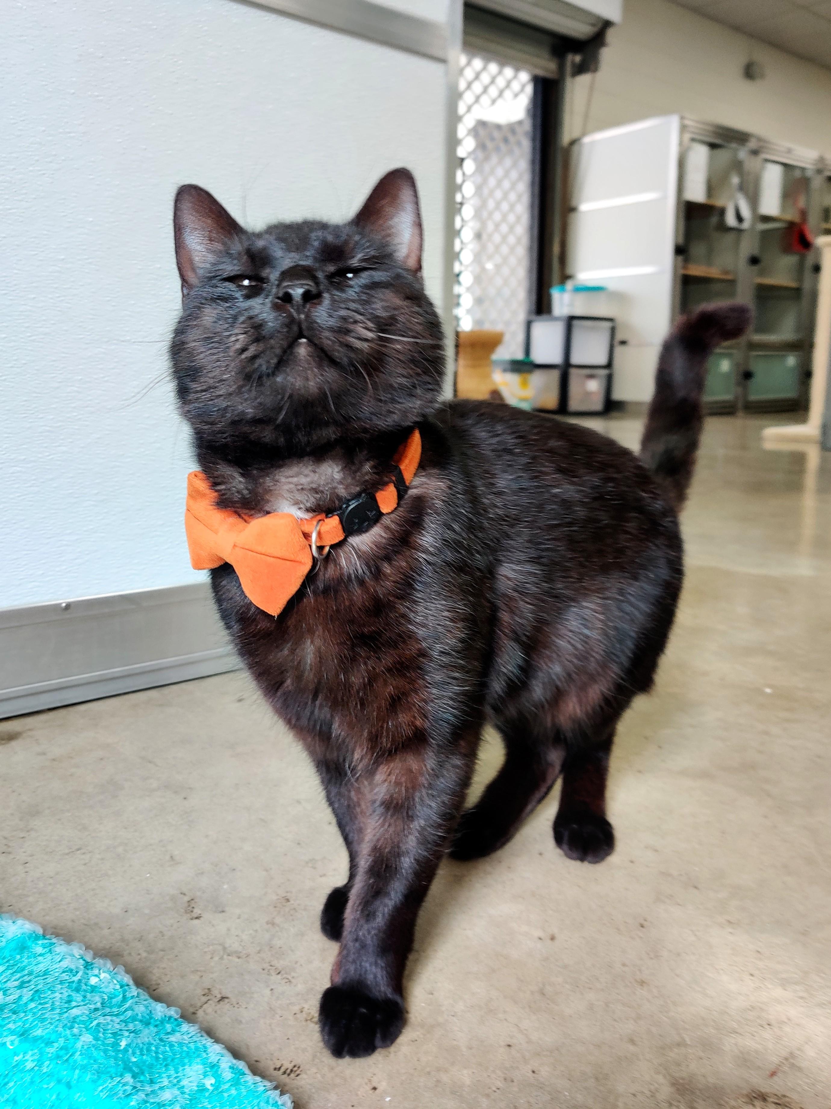 A very dapper gentleman 🧡 | Scrolller