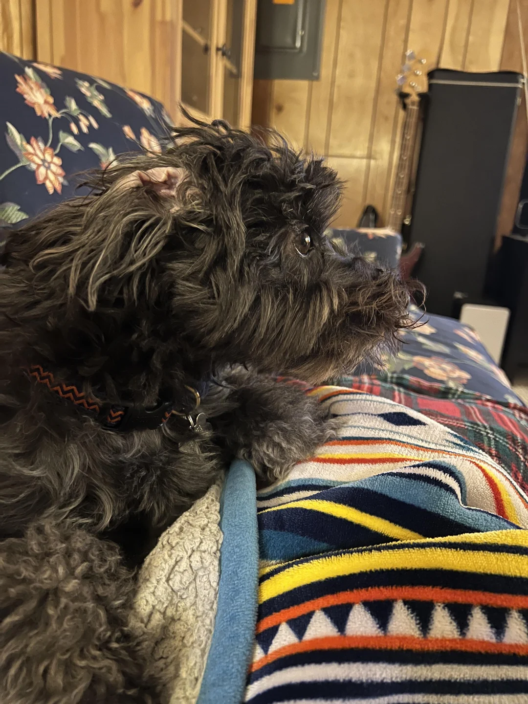 Couch nap bed head | Scrolller