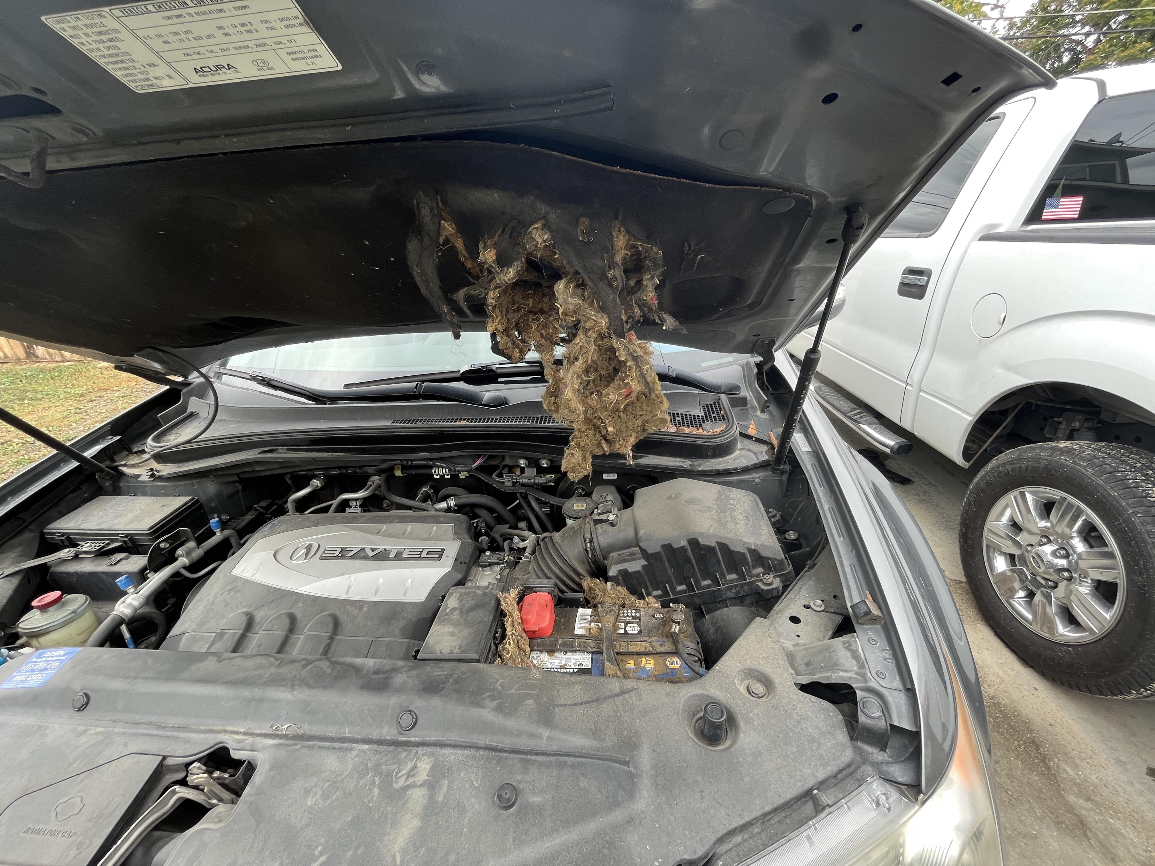 Help please what happened to my battery | Scrolller