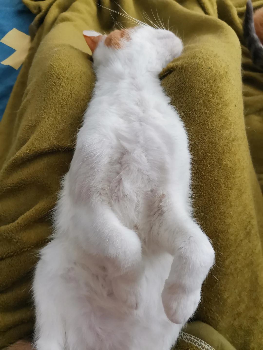 Weird but funny positions to sleep | Scrolller