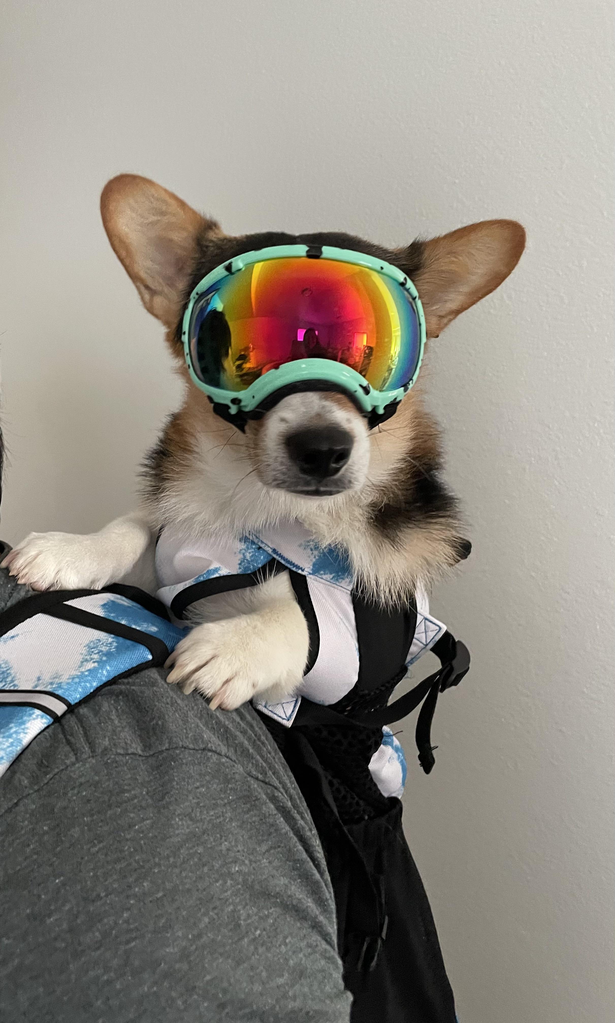 William in his backpack wearing his goggles | Scrolller