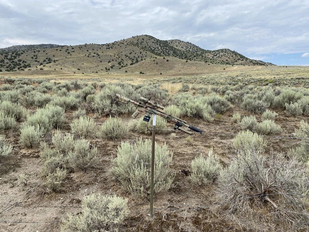 Painting rifles is functional and fun. | Scrolller