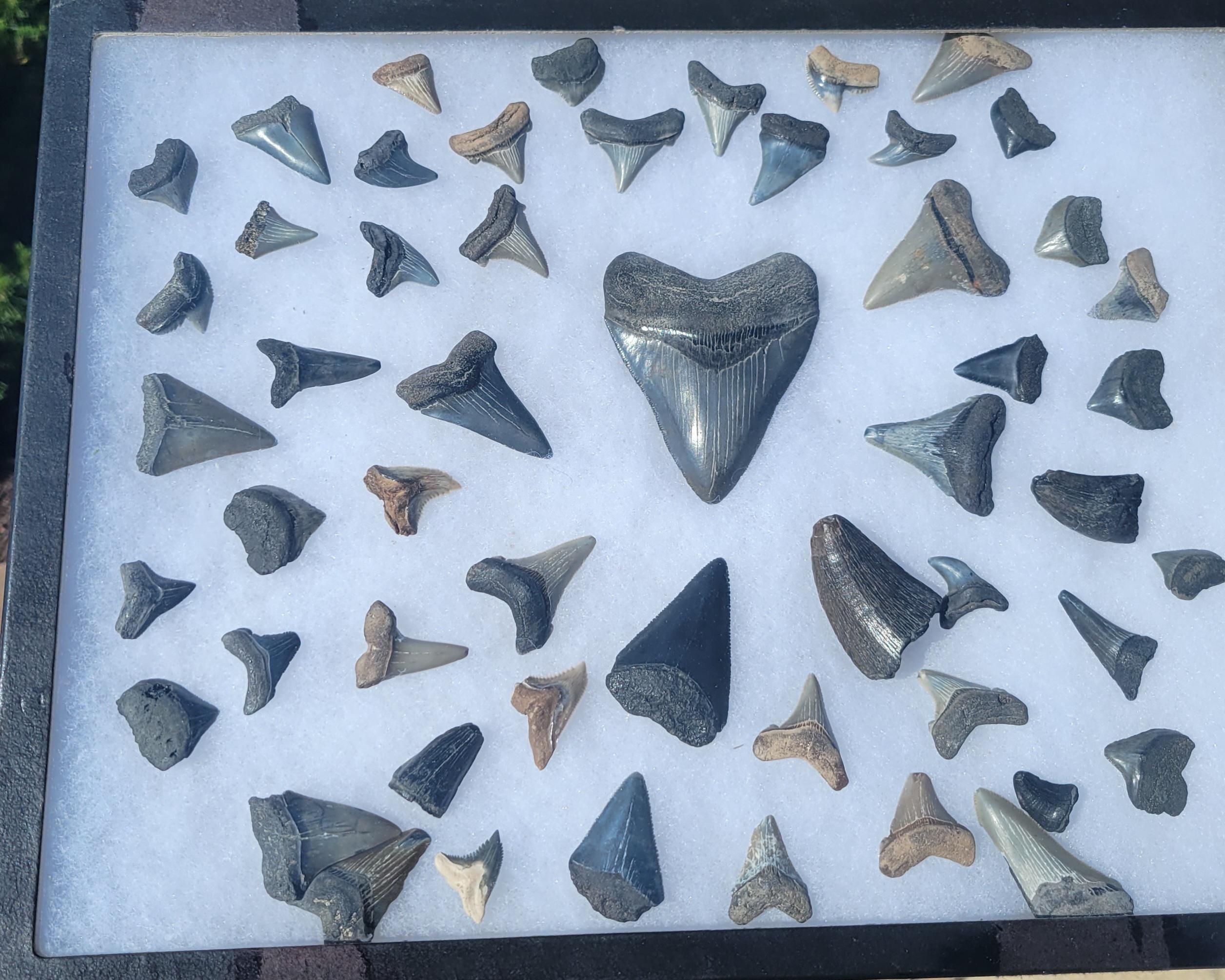 Some Of My Best Finds! | Scrolller