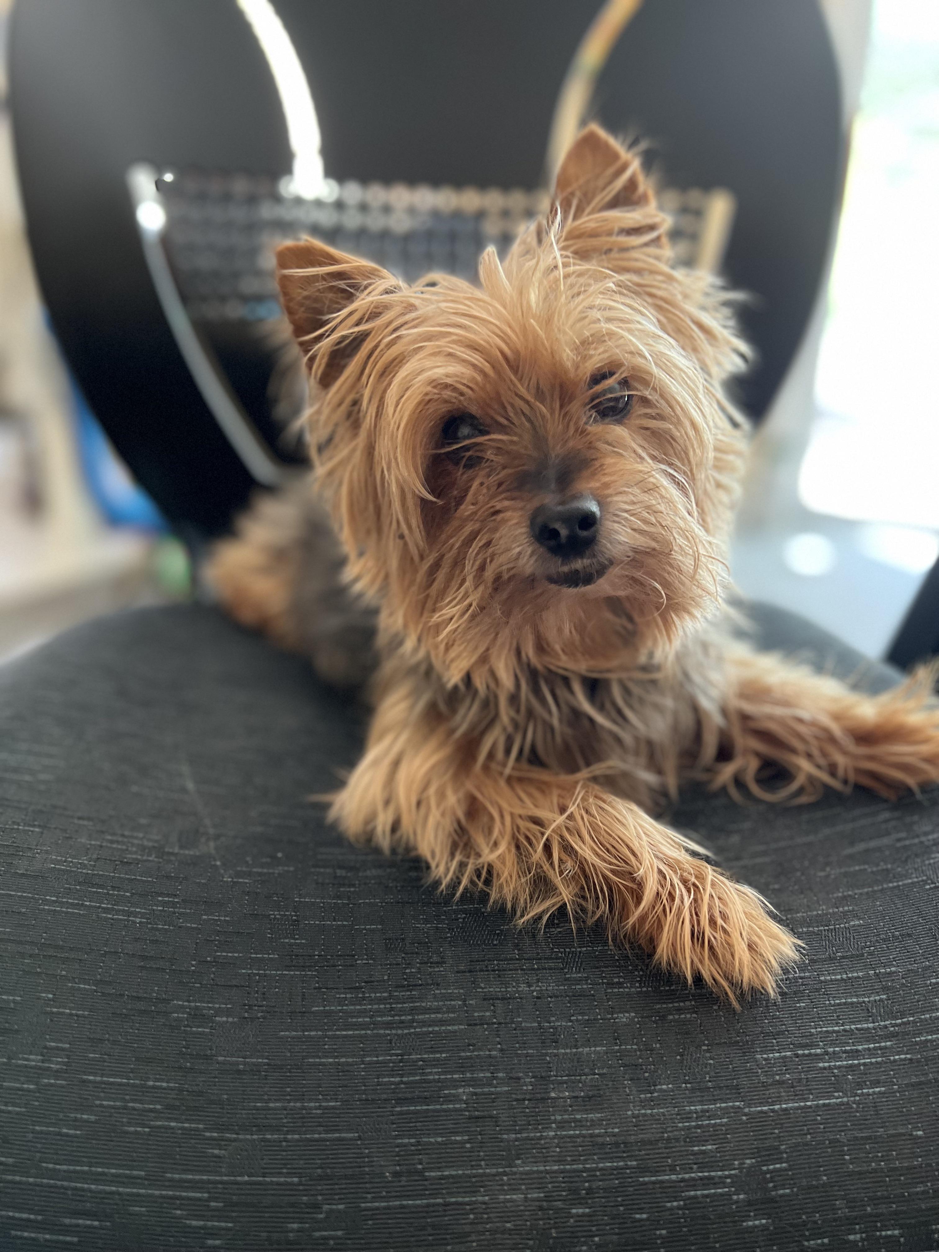 Photogenic as always | Scrolller