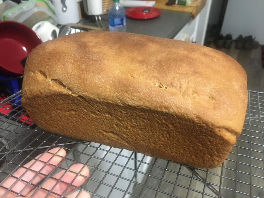 Classic whole wheat molasses loaf. | Scrolller