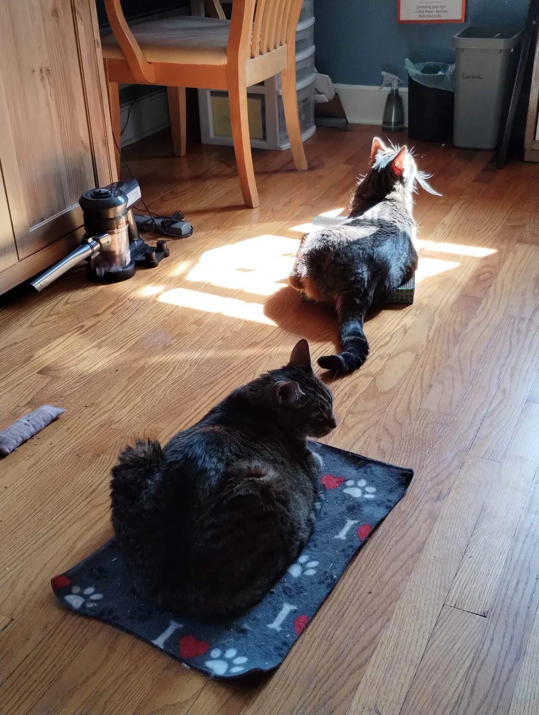 Both traps working! | Scrolller