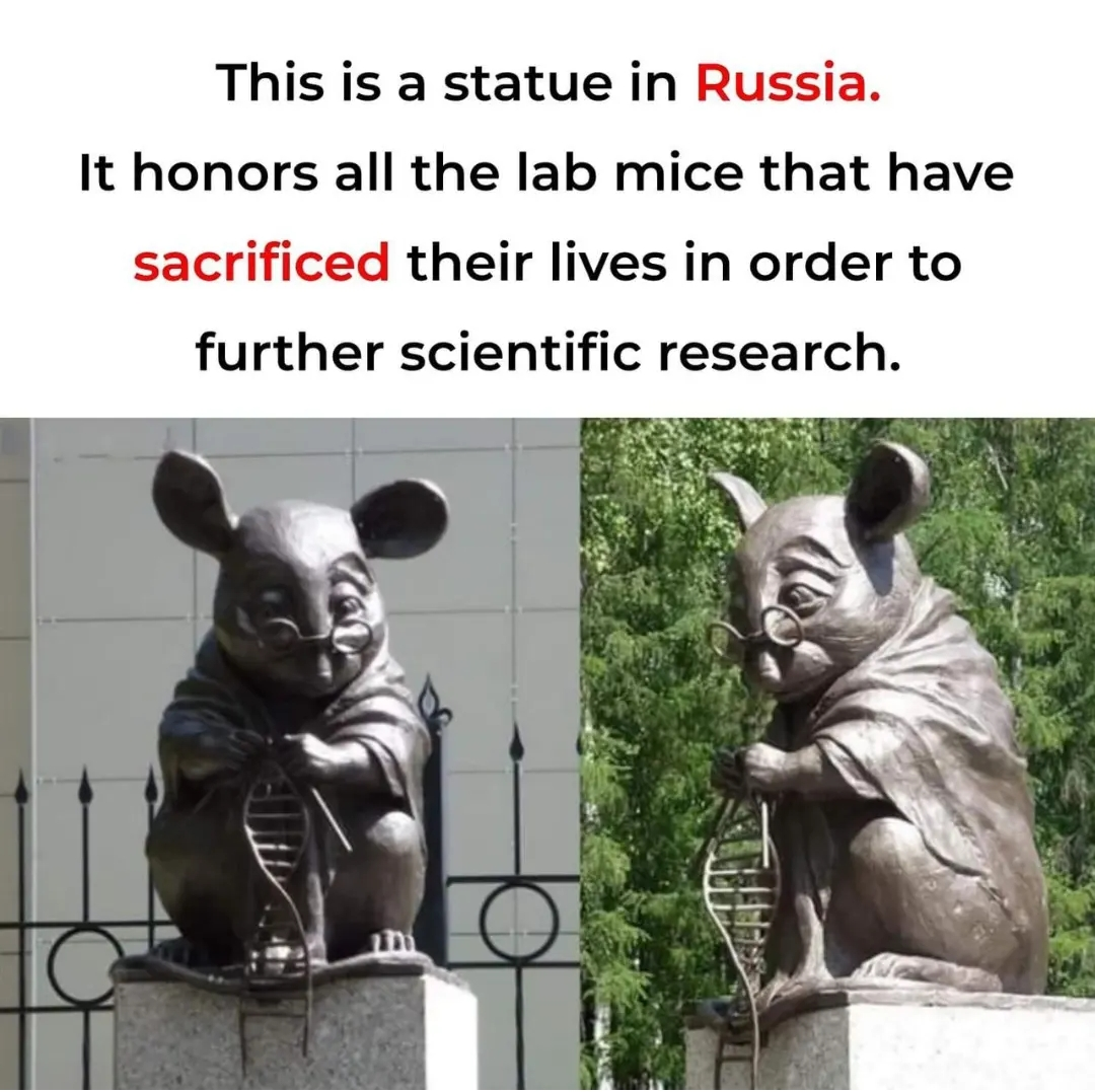 Self explainatory | Scrolller