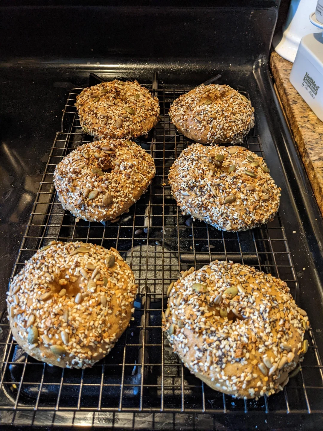 Sourdough Everything Bagels | Scrolller