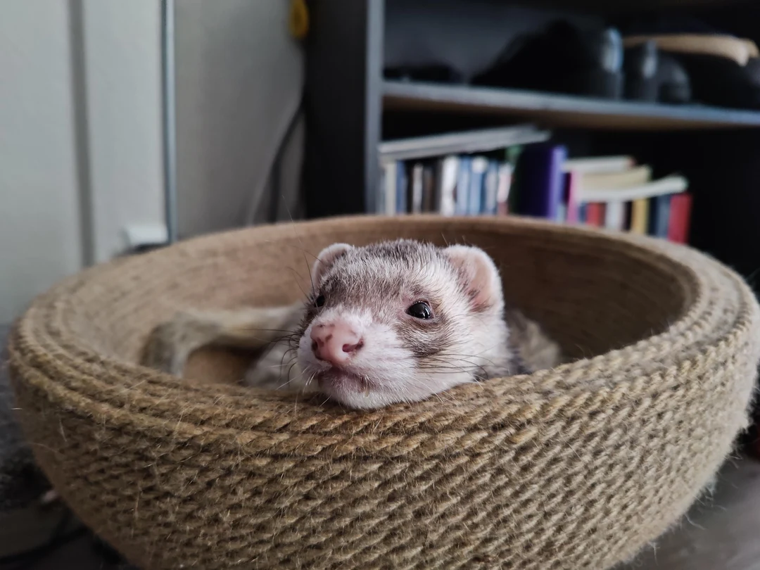 Justa bowl of noodle | Scrolller