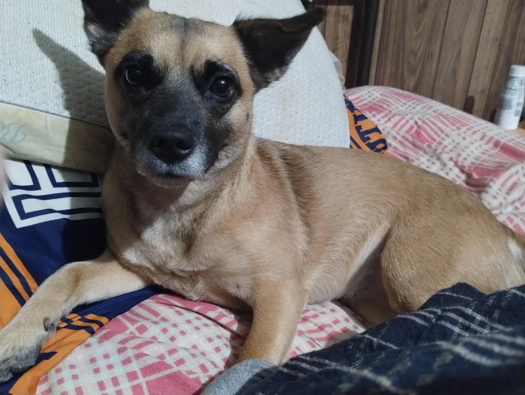 Our bed, comrade. | Scrolller