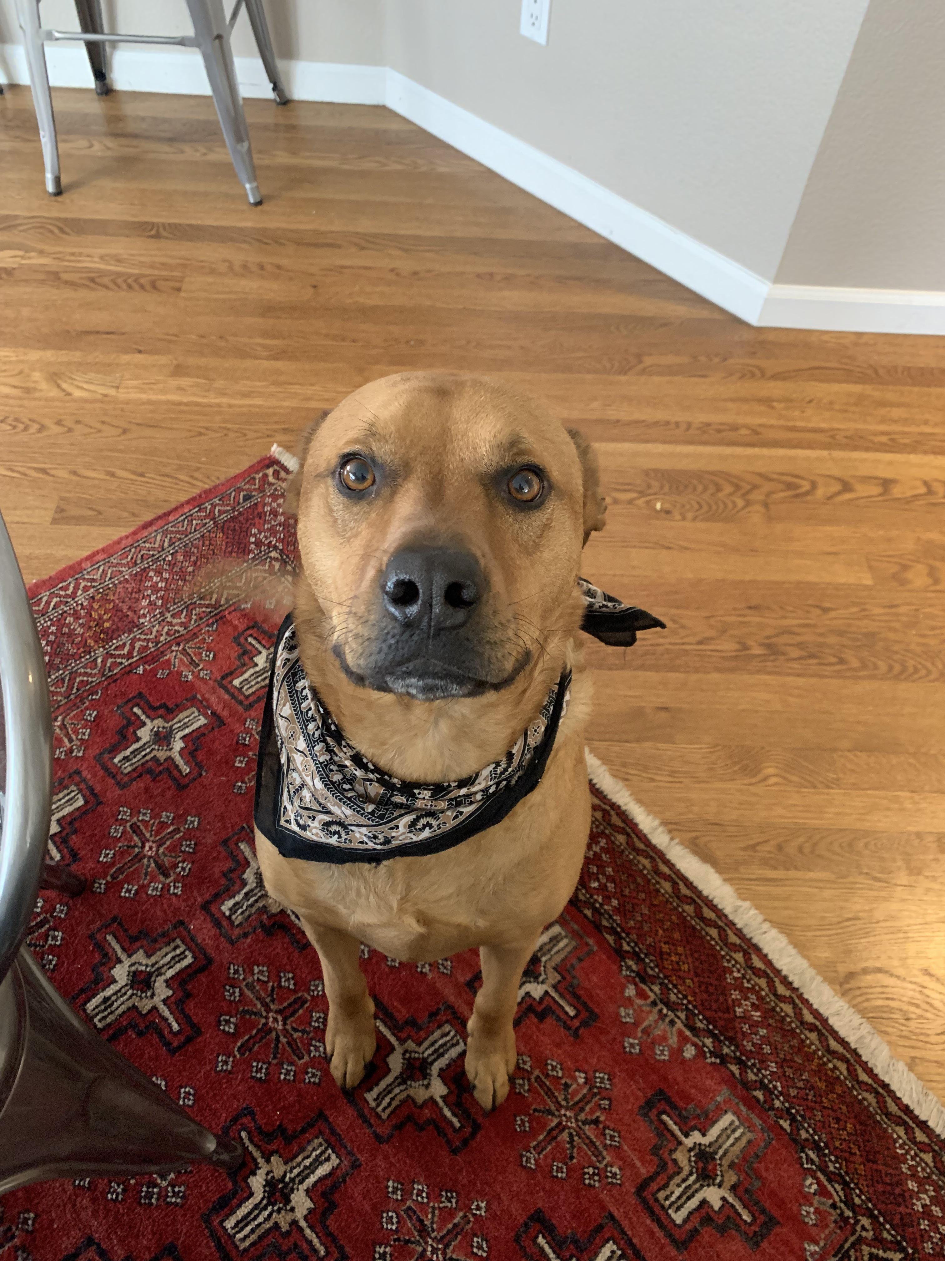 He’s so handsome | Scrolller