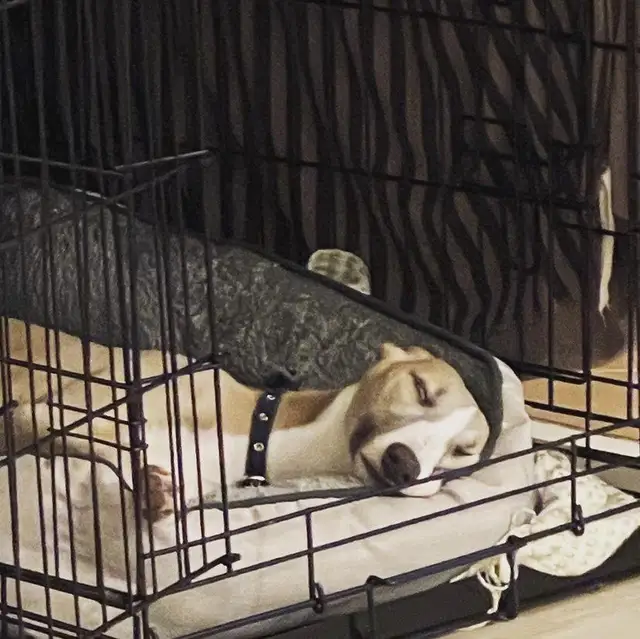 Hangover last night. (Oc) | Scrolller