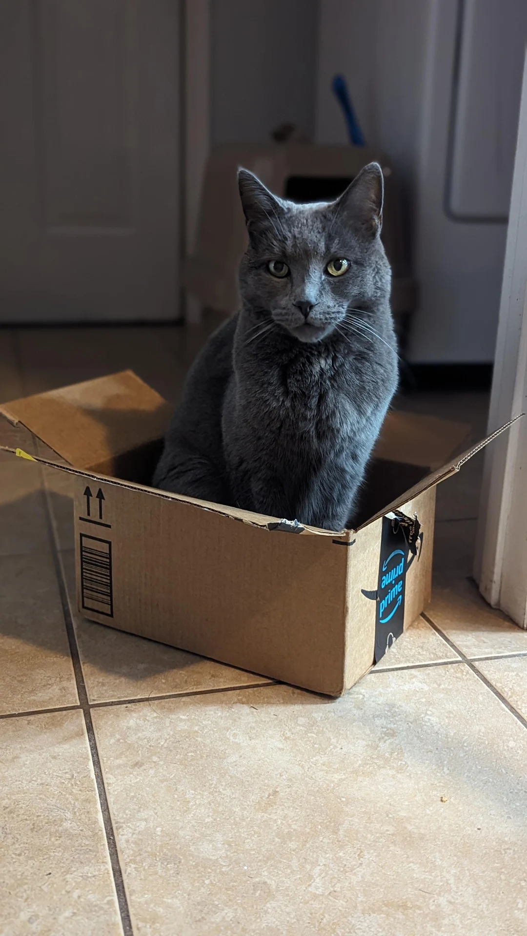 Special delivery | Scrolller