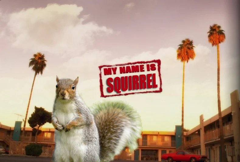 My Name is Squirrel | Scrolller