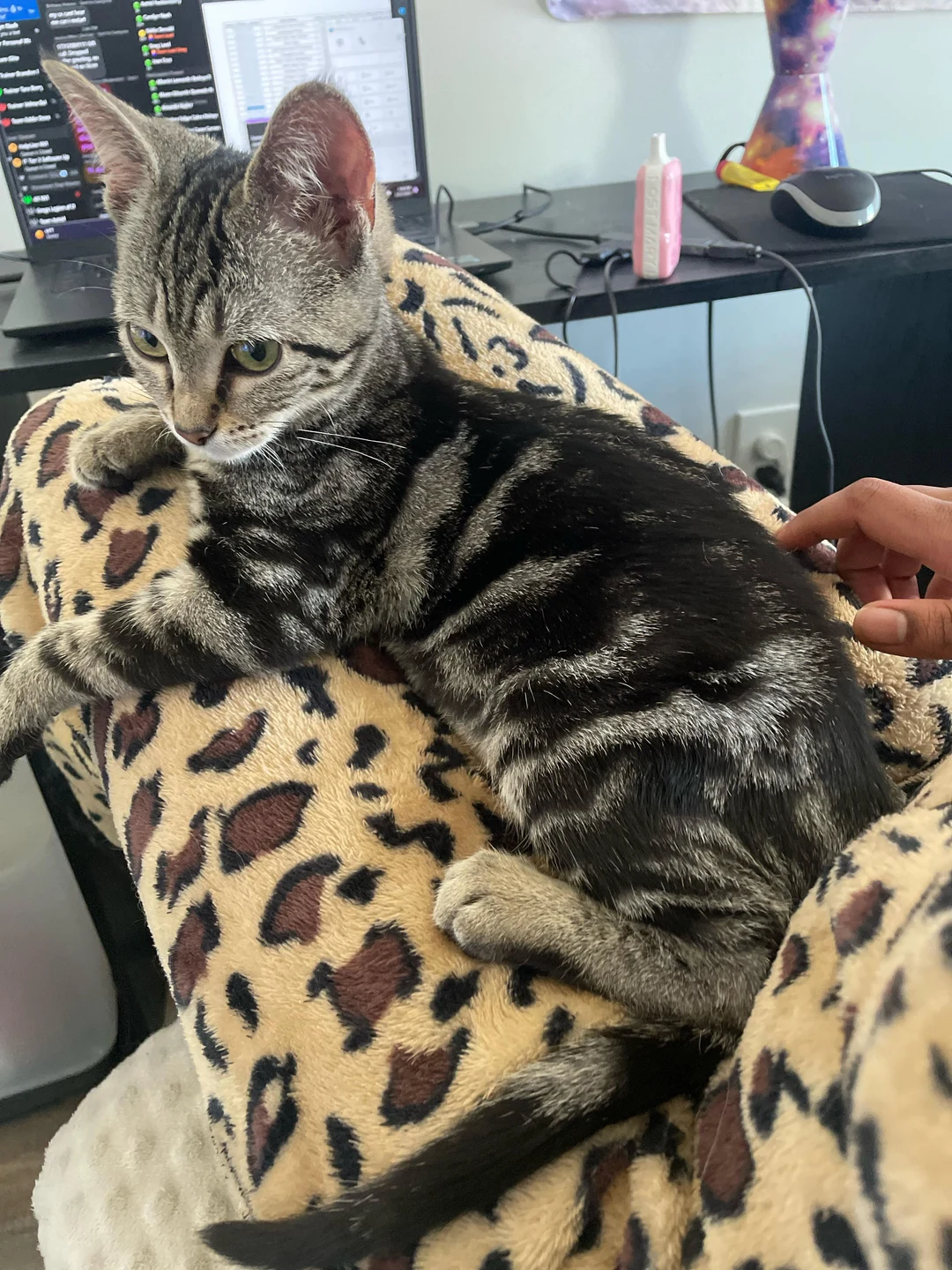 love her pattern | Scrolller